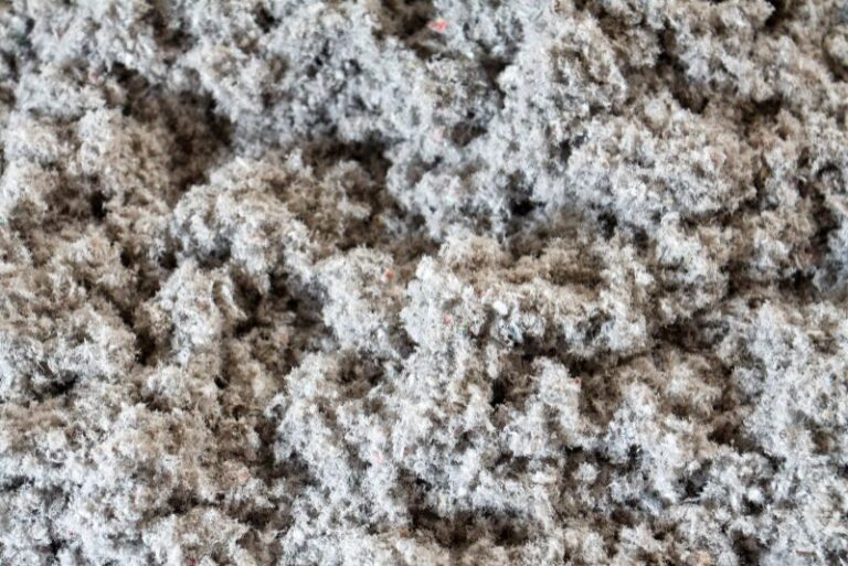 Cellulose Insulation Pros and Cons (Loose-Fill and Sprayed)
