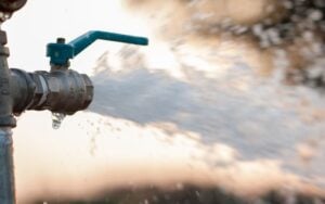 5 Easy Ways to Build a DIY Greywater System for Your Home - Attainable Home
